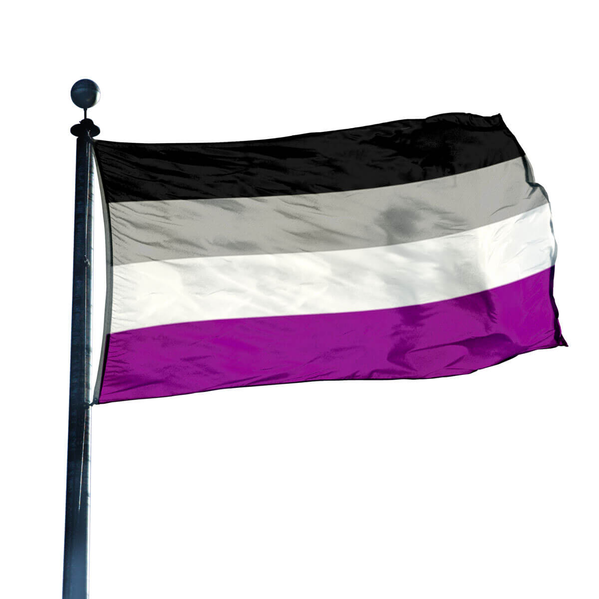 Asexual Flag Pride Flags | UBC Equity & Inclusion Office | Okanagan