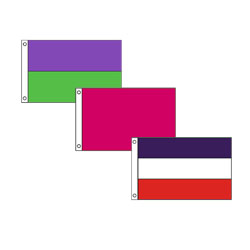 Assorted Color Nylon Flag (2 ft x 3 ft) | FlagandBanner.com