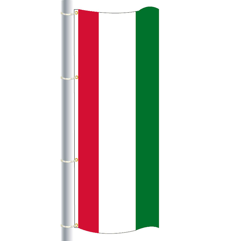 Green white red flag vertical store