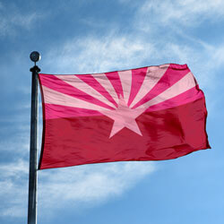 Pink Arizona Nylon Flag (3 ft. x 5 ft.) | FlagandBanner.com