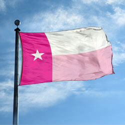 Pink Texas Nylon Flag (3 ft. x 5 ft.) | FlagandBanner.com