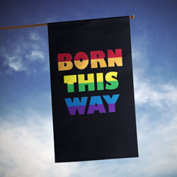 Born This Way House Banner, TOL109520H | FlagandBanner.com